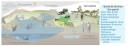 Images - Thumbnails