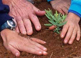 Environmental & Monitoring Pollution